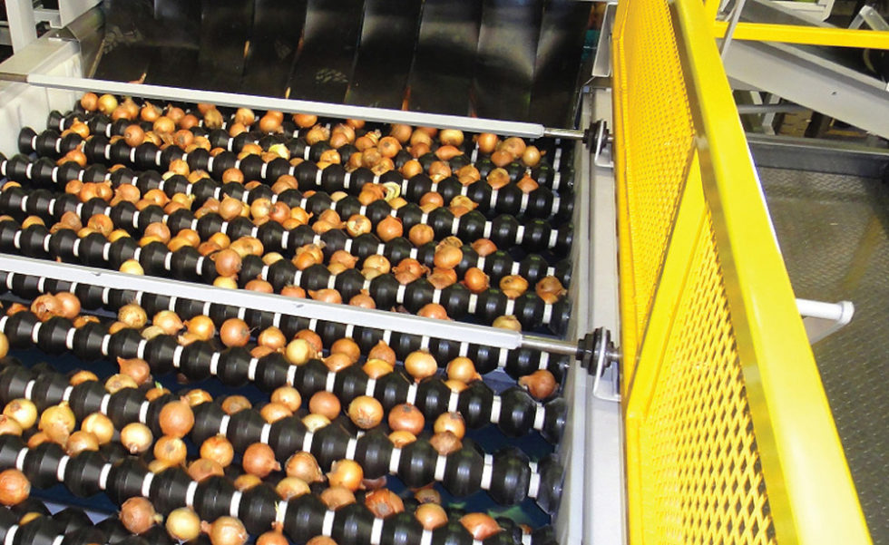 LIFT ROLLER SIZER - edp Australia