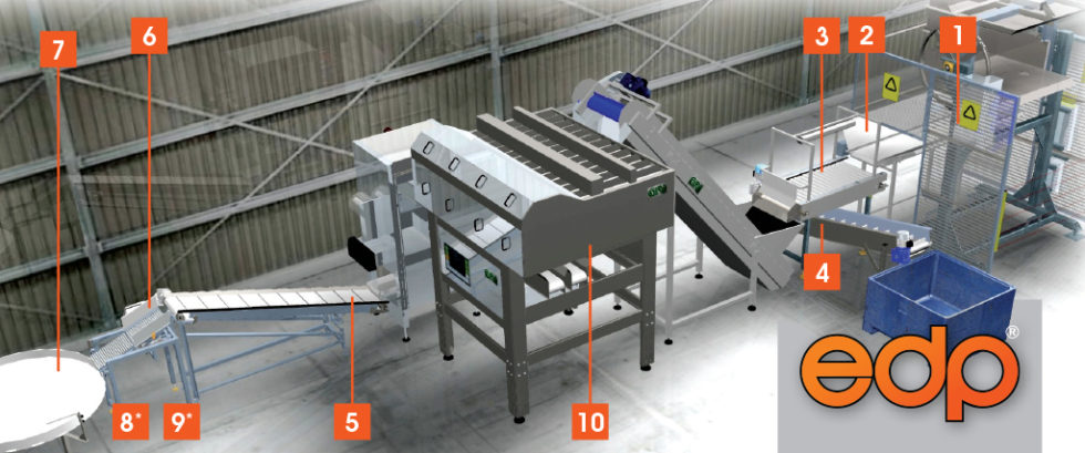 Associated Equipment For Standard Pre-Packing Line | edp Australia