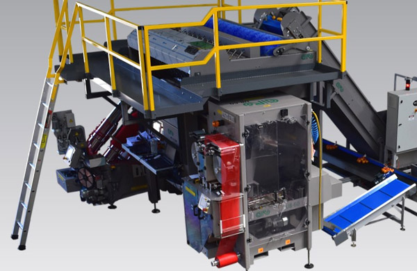 About edp - edp Australia