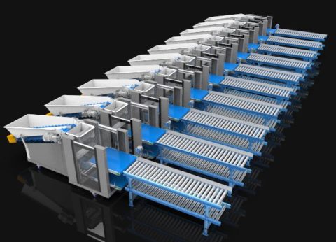 EDP | Produce Preparation & Packaging Machinery Australia