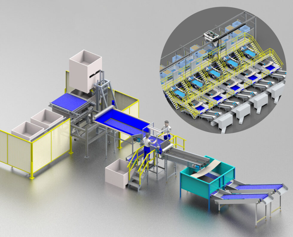 EDP | Produce Preparation & Packaging Machinery Australia