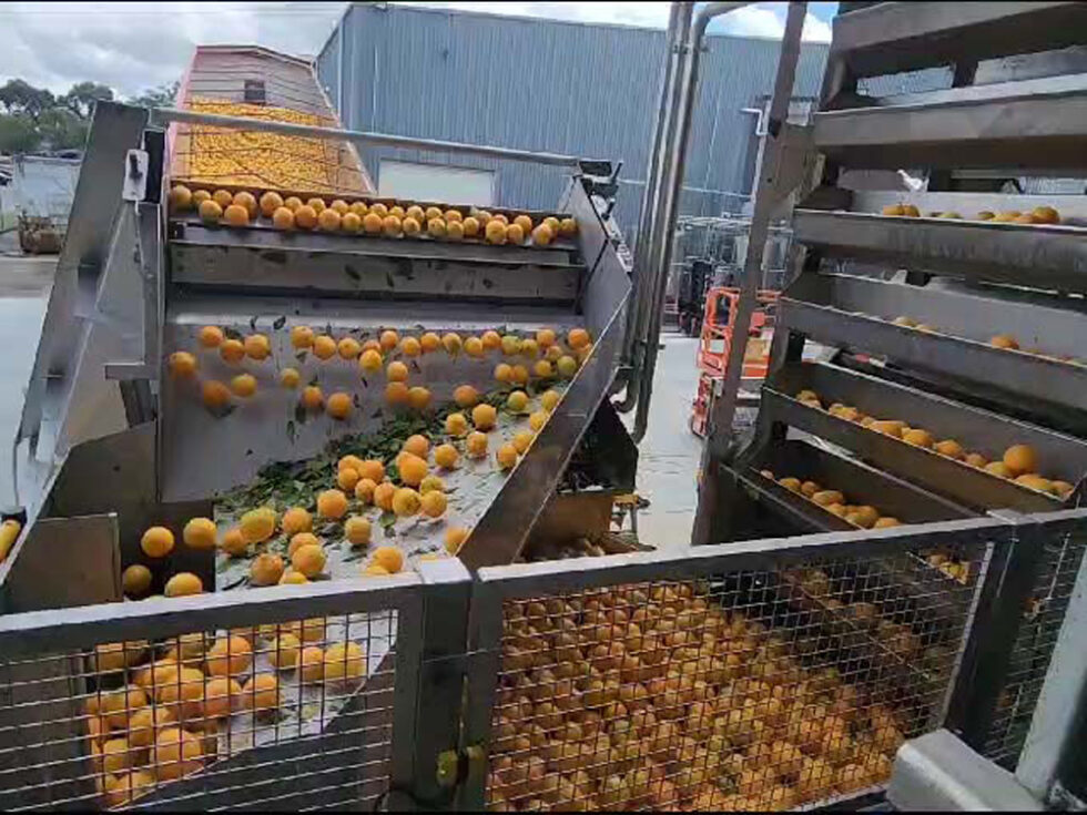 SS Hopper Installation - edp Australia