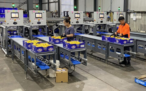 Packaging - edp Australia
